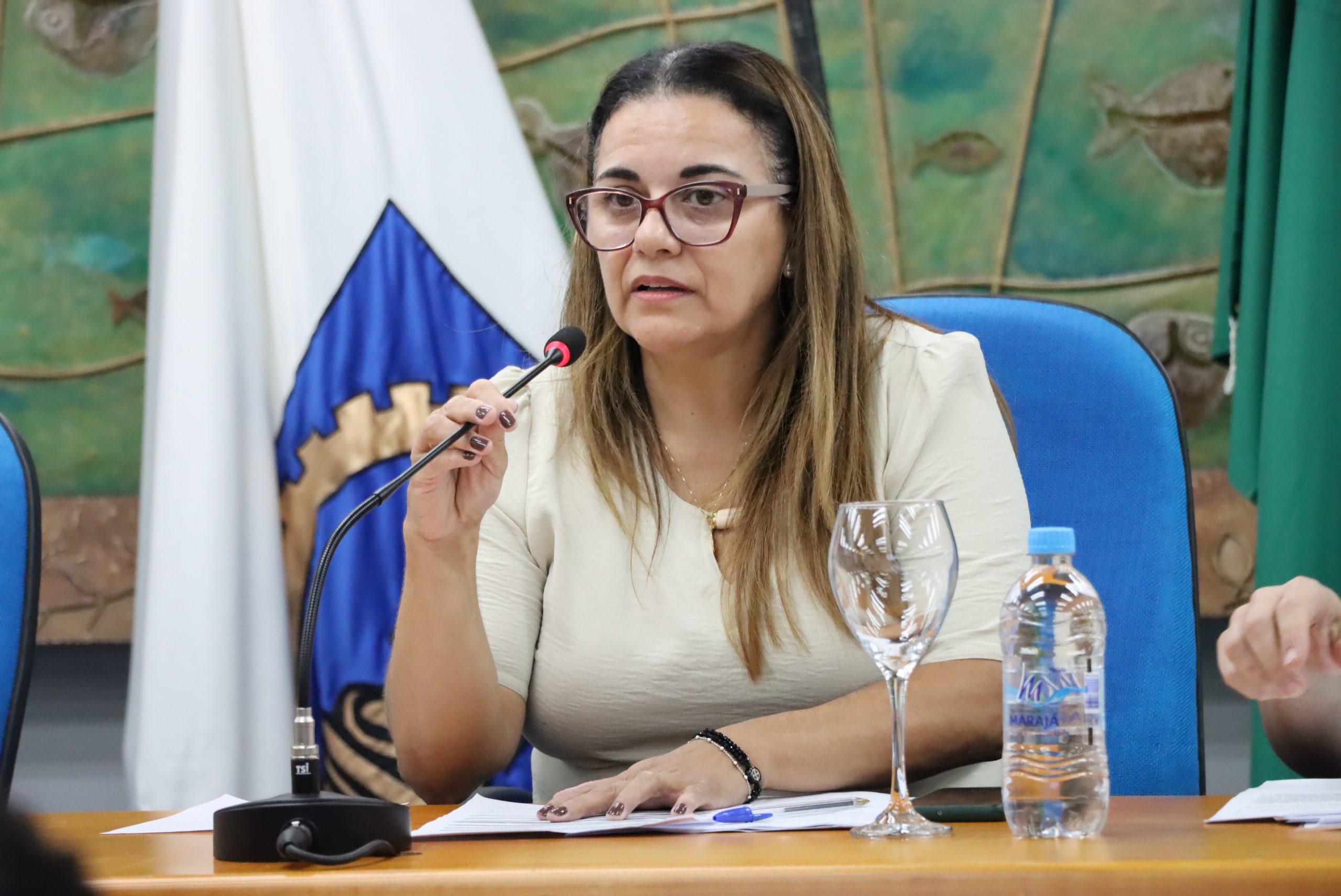 Lys conduz plenária pela primeira vez após assumir presidência em ...