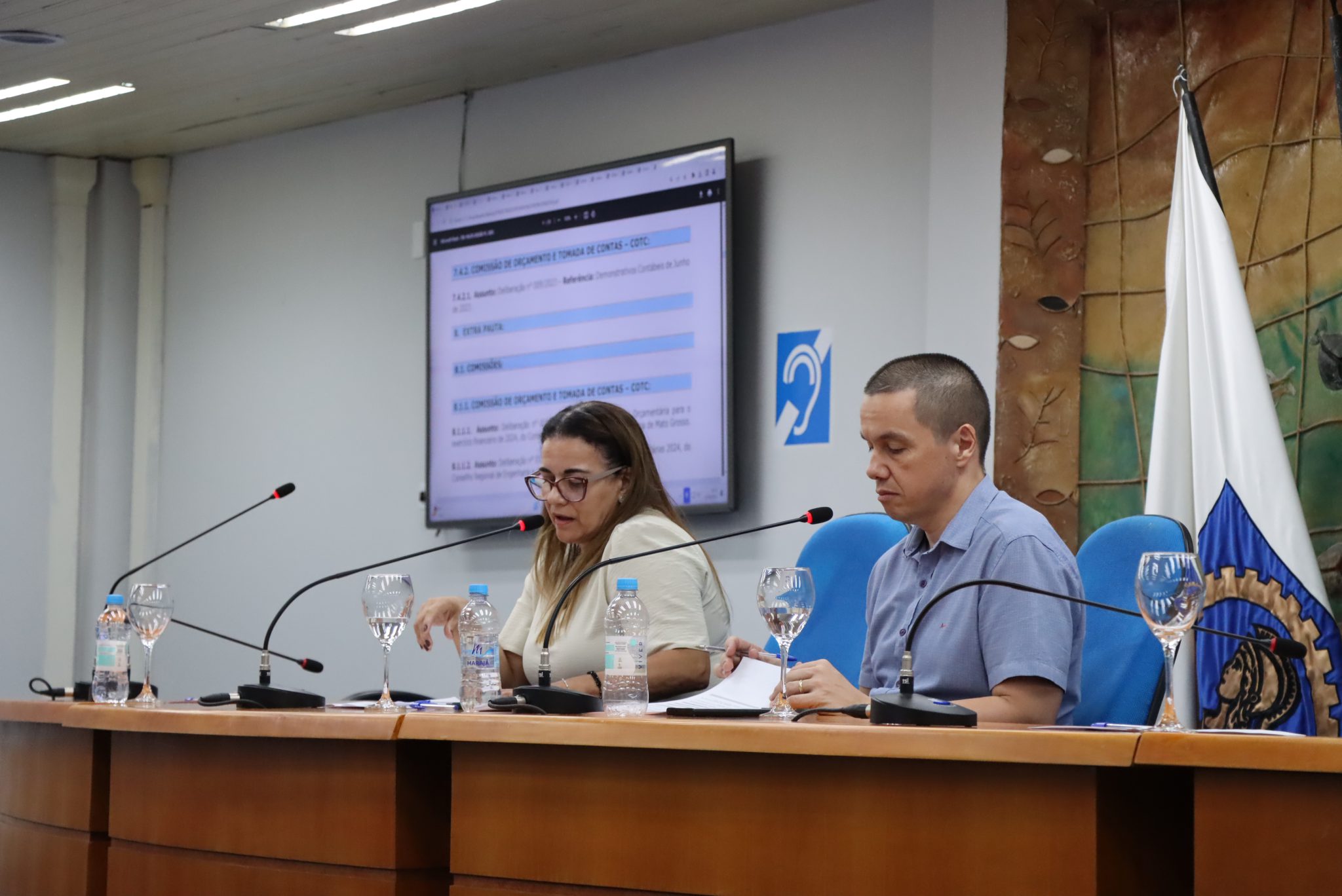 Lys conduz plenária pela primeira vez após assumir presidência em exercício do Crea-MT - Crea-MT