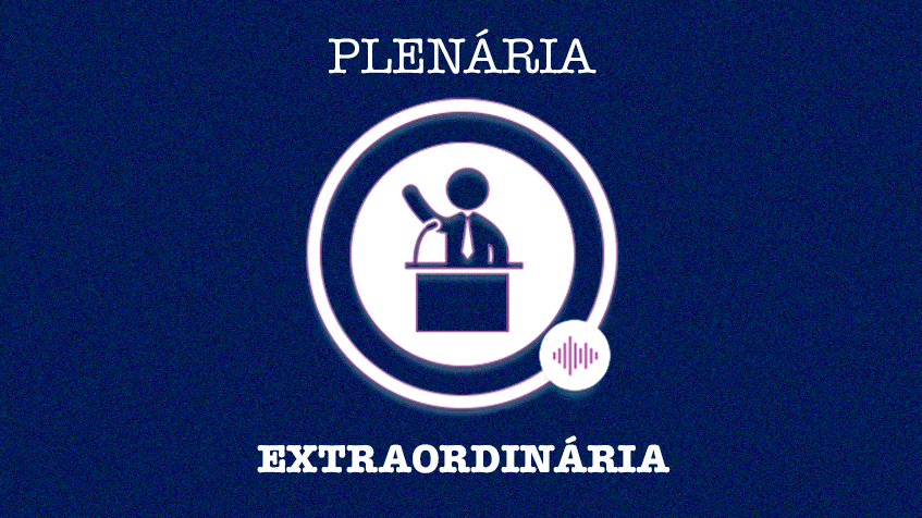 Plenária Extraordinária de dezembro de 2023 - Crea-MT