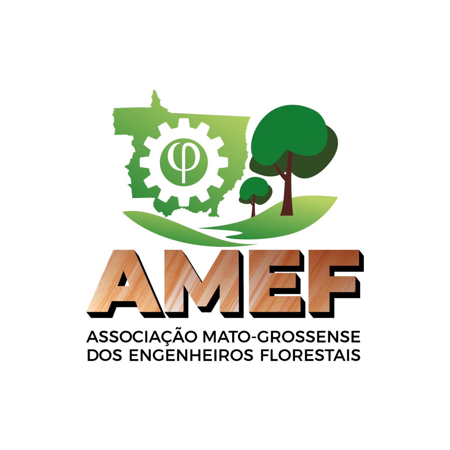 AMEF convoca associados para Assembleia Geral Ordinária - Crea-MT